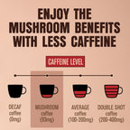 mushroom complex supplement for wellness