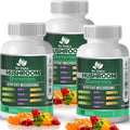 Mushroom complex supplement for wellness