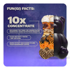 Mushroom complex supplement for wellness