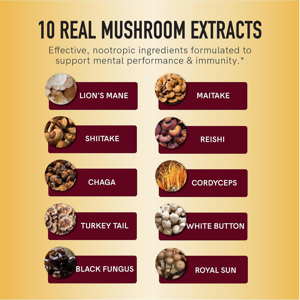 Mushroom complex supplement for wellness