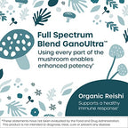 mushroom complex supplement with delicious taste