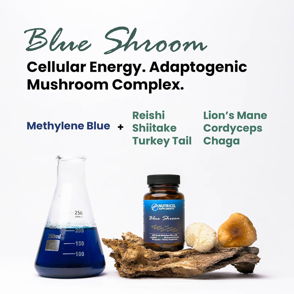 Mushroom complex supplement with Methylene Blue