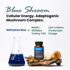 Mushroom complex supplement with Methylene Blue