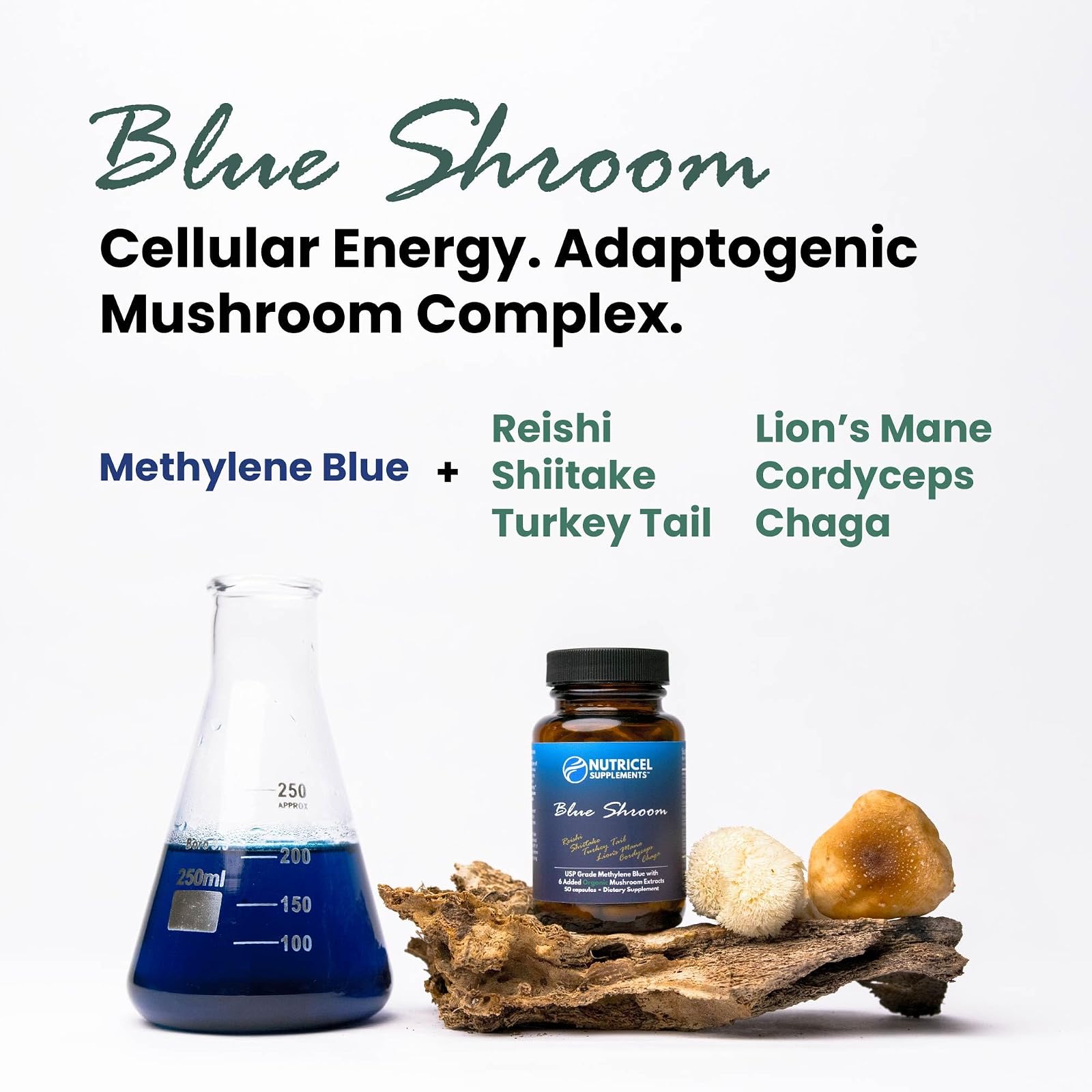 Mushroom complex supplement with Methylene Blue