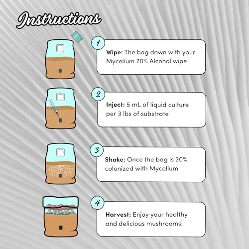 mushroom cultivation for beginners