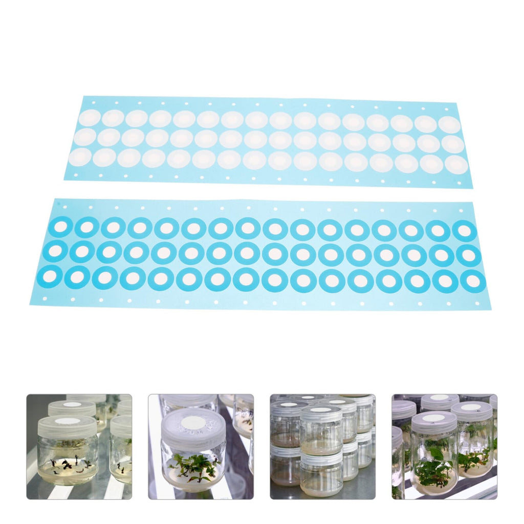 mushroom cultivation for health enthusiasts