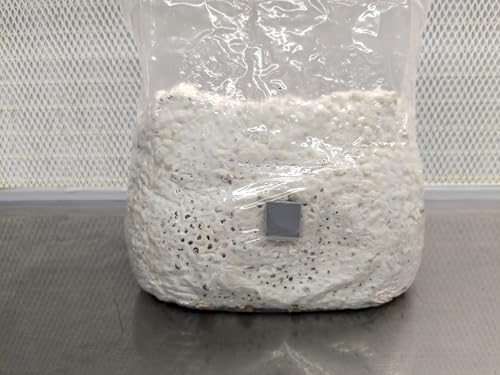 mushroom cultivation made simple