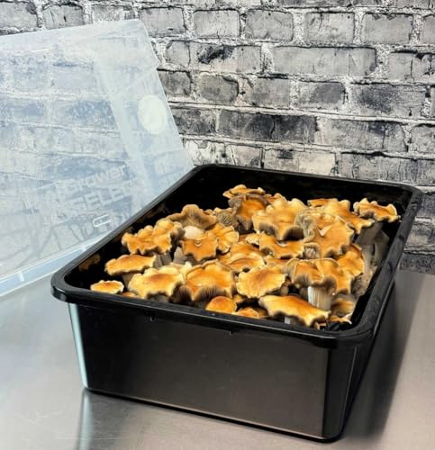 mushroom cultivation supplies in Canada