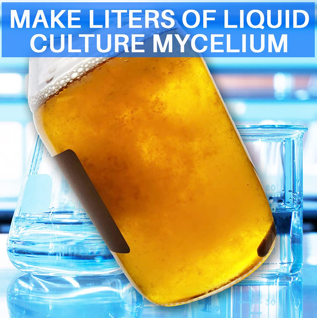 Mushroom culture for sustainable living