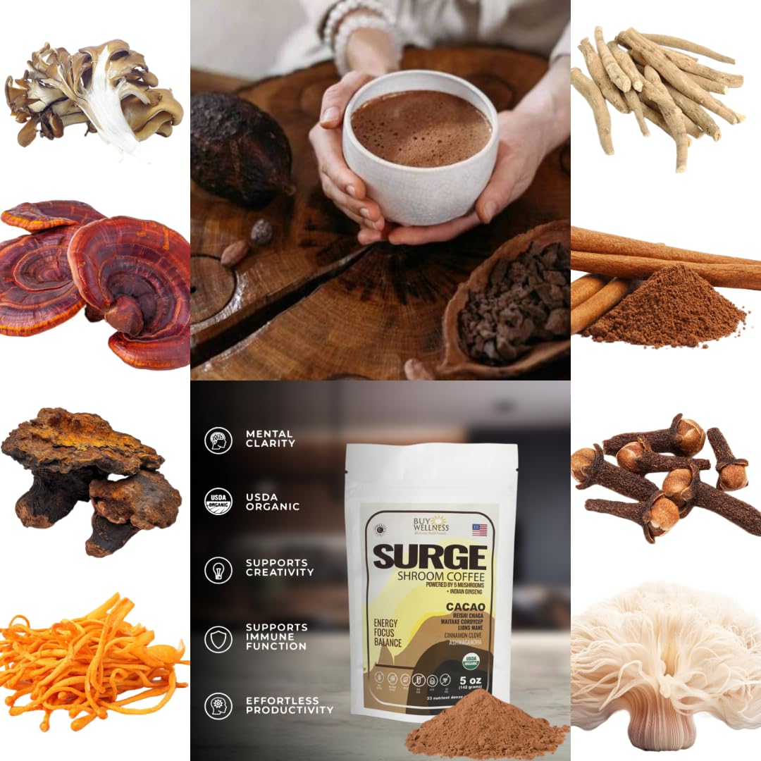 mushroom drink for mental clarity