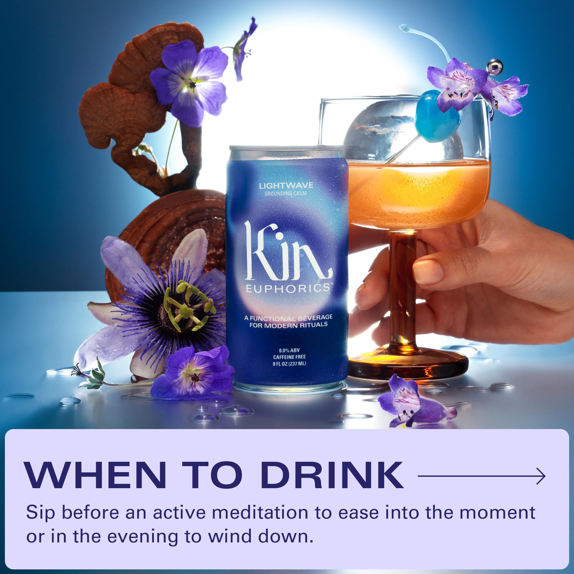 mushroom drinks for better focus