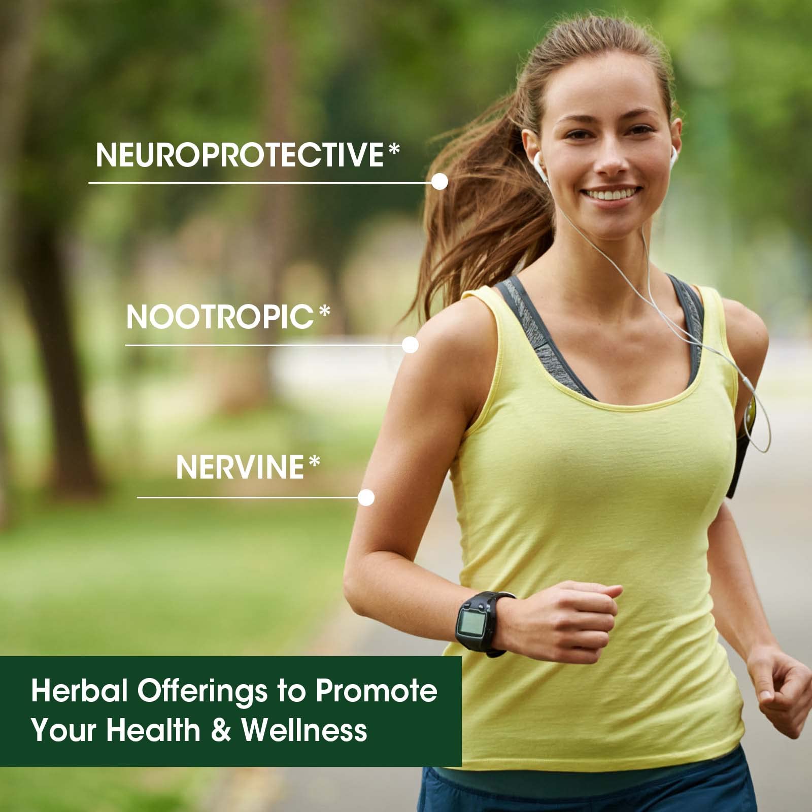 Mushroom drops for overall wellness