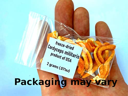 mushroom enthusiasts freeze-dried cordyceps