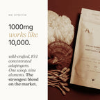 Mushroom espresso for enhanced focus