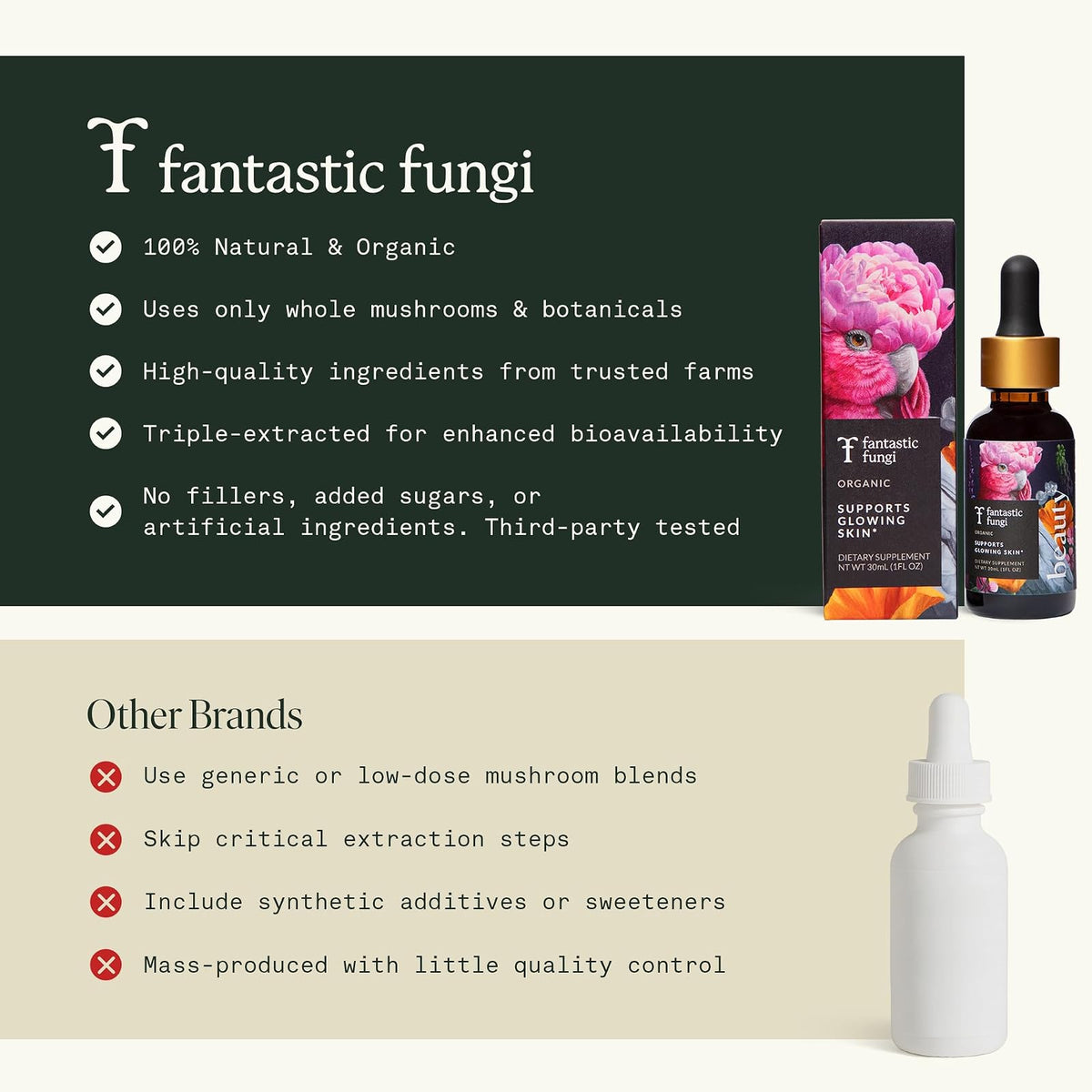 Mushroom extract drops for holistic health