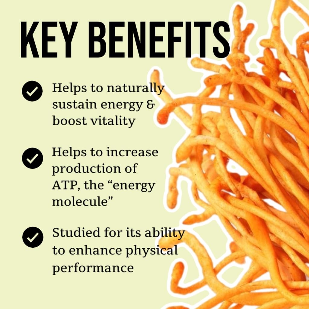 Mushroom extract for active lifestyles