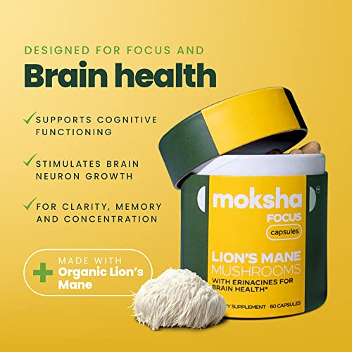 mushroom extract for better concentration