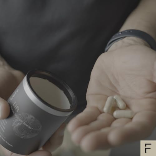 mushroom extract for better focus