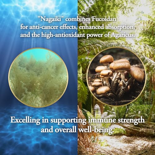 mushroom extract for better health