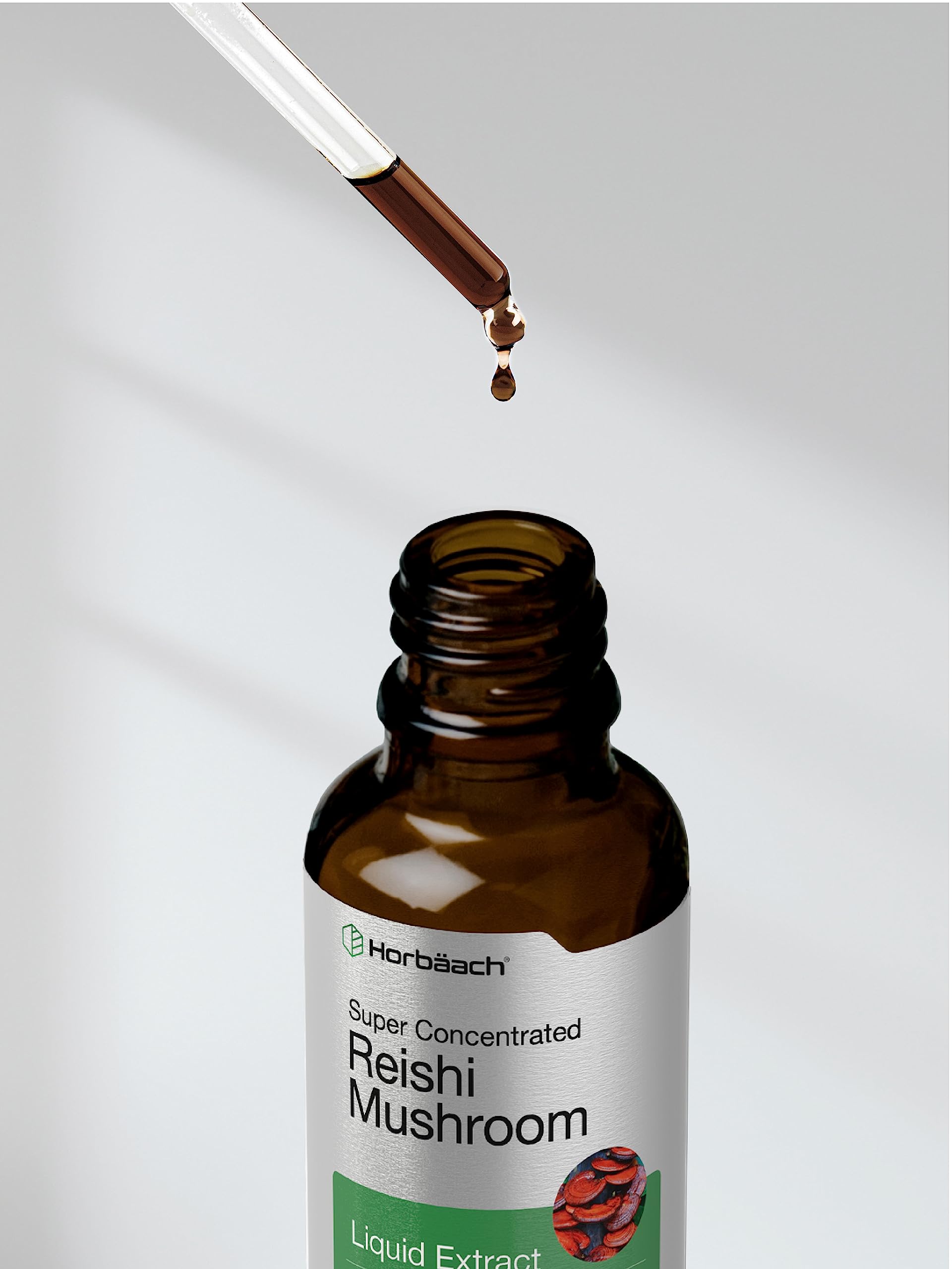 Mushroom extract for better sleep