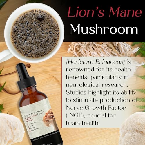 Mushroom extract for brain function