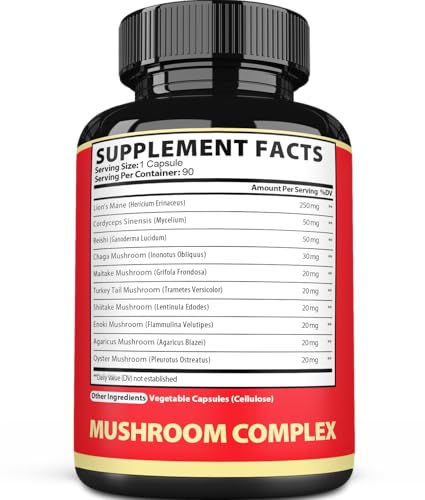 mushroom extract for brain function