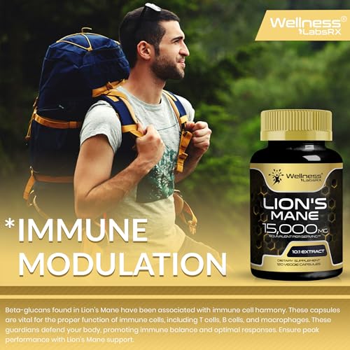 mushroom extract for brain vitality