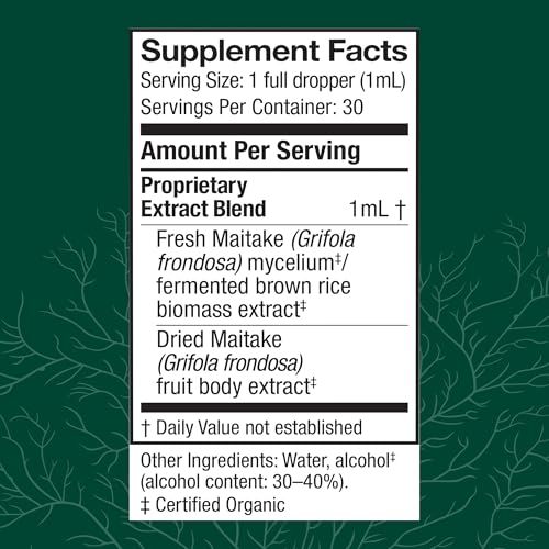Mushroom extract for cellular health