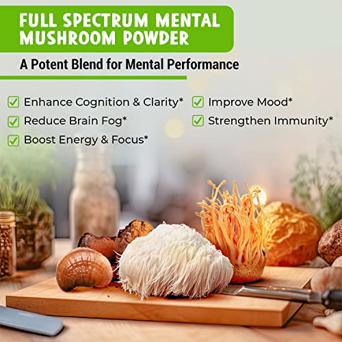 mushroom extract for coffee enhancement