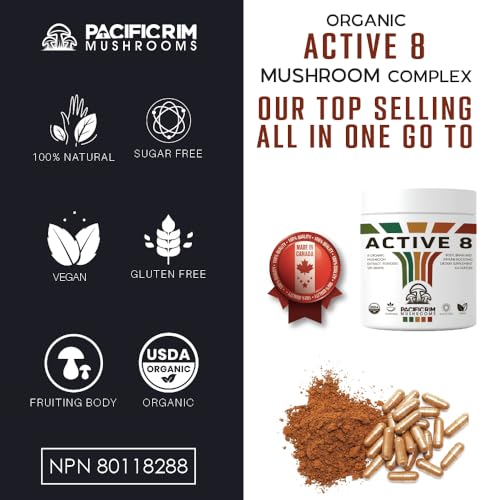 mushroom extract for cognitive benefits