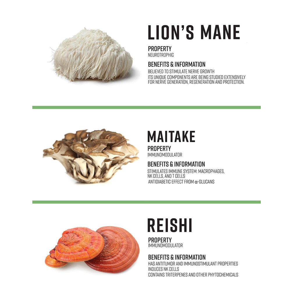 mushroom extract for cognitive function