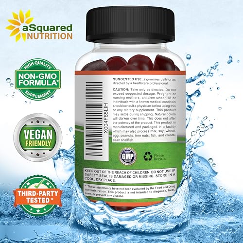 mushroom extract for cognitive support