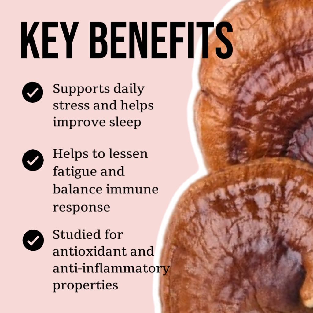 mushroom extract for cognitive support