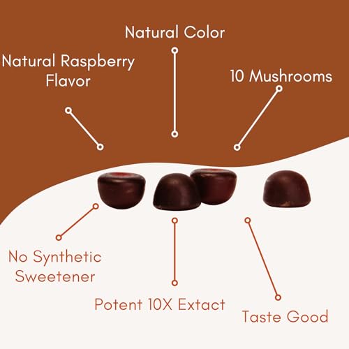 mushroom extract for cognitive support