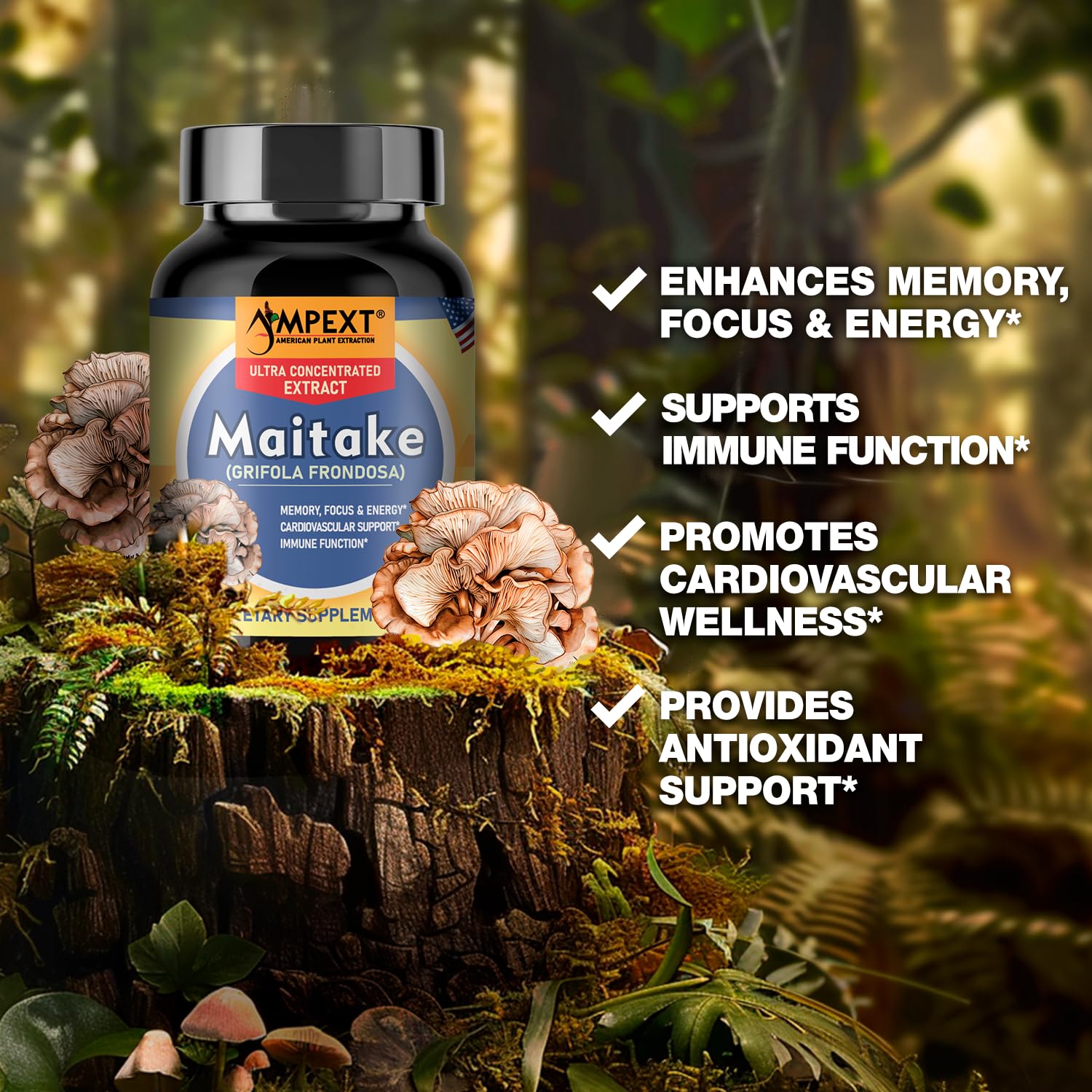 Mushroom extract for daily health