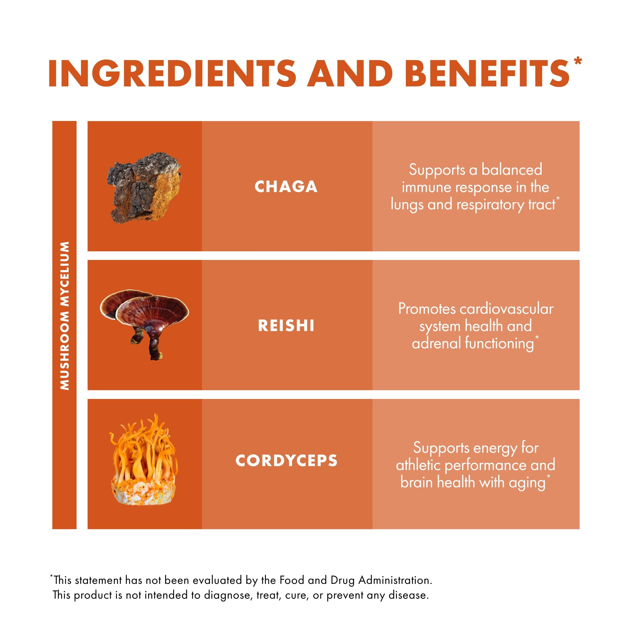 mushroom extract for daily health