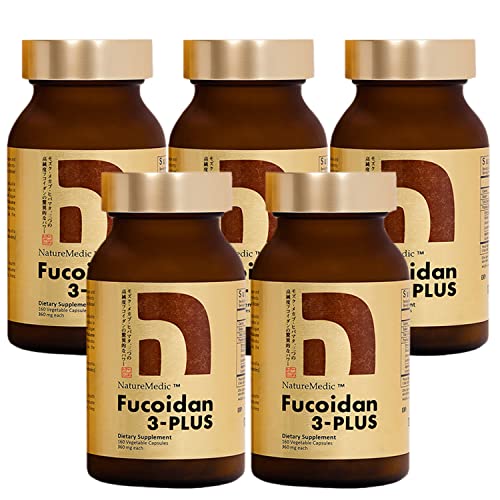 mushroom extract for daily health