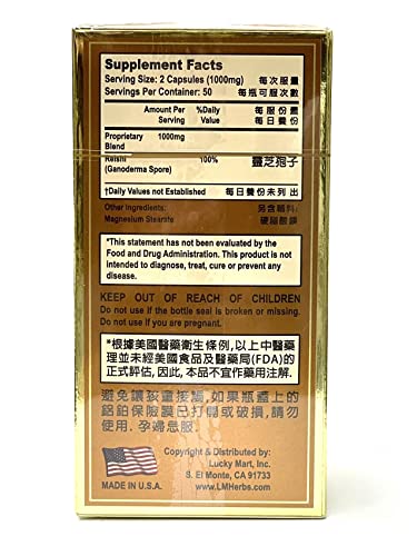 mushroom extract for daily nutrition