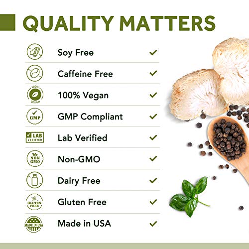Mushroom extract for daily vitality