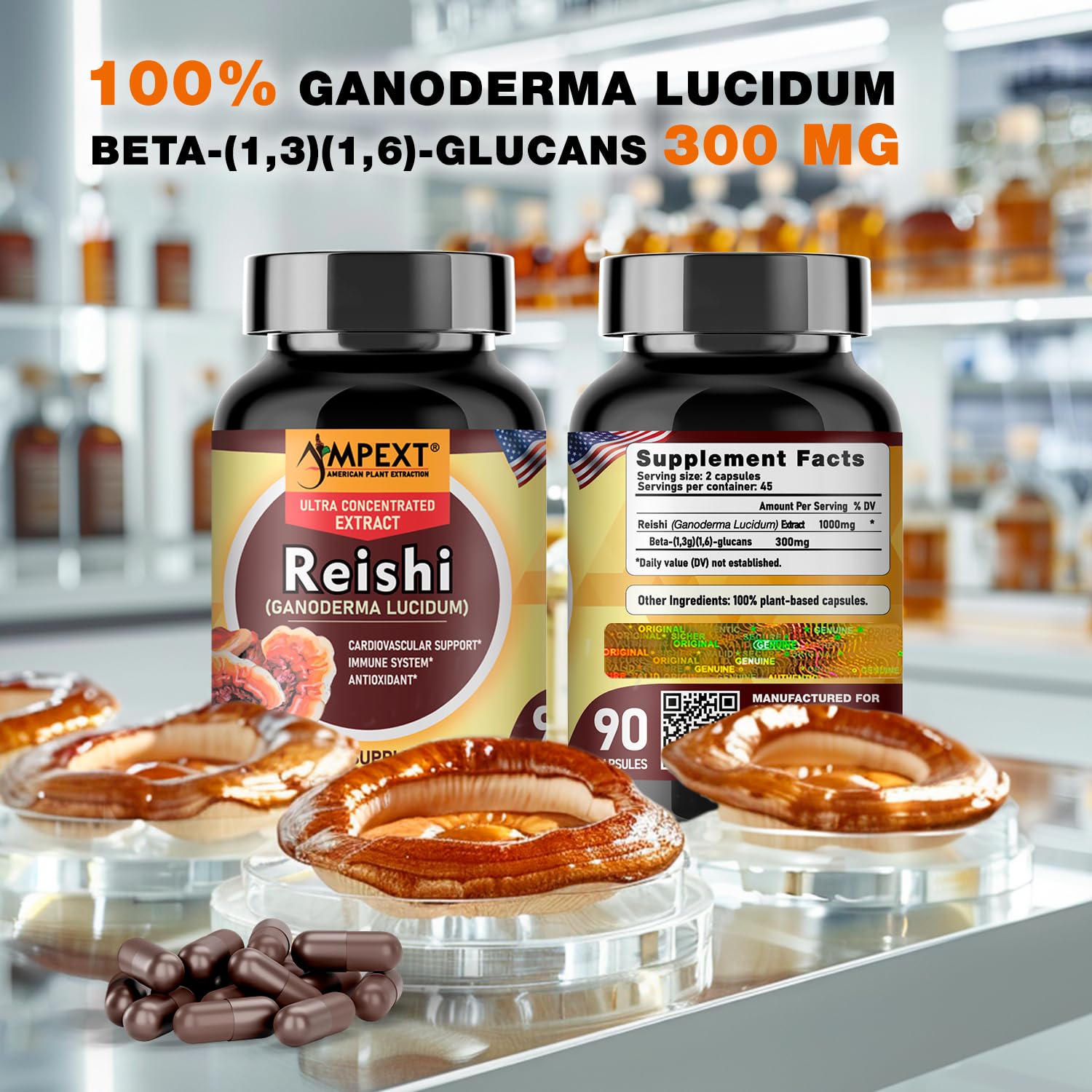 Mushroom extract for daily vitality