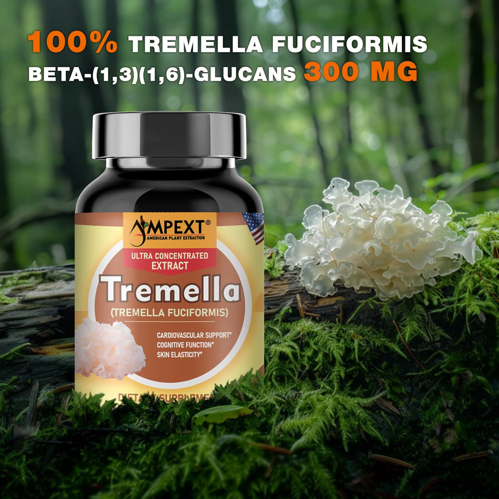 Mushroom extract for daily vitality