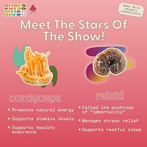 mushroom extract for daily vitality