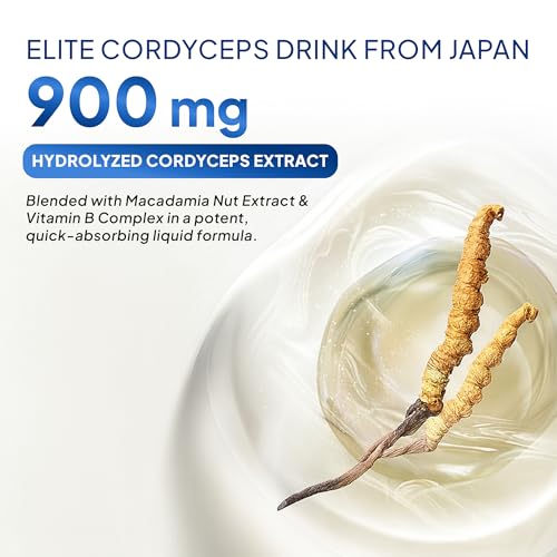 mushroom extract for daily wellness