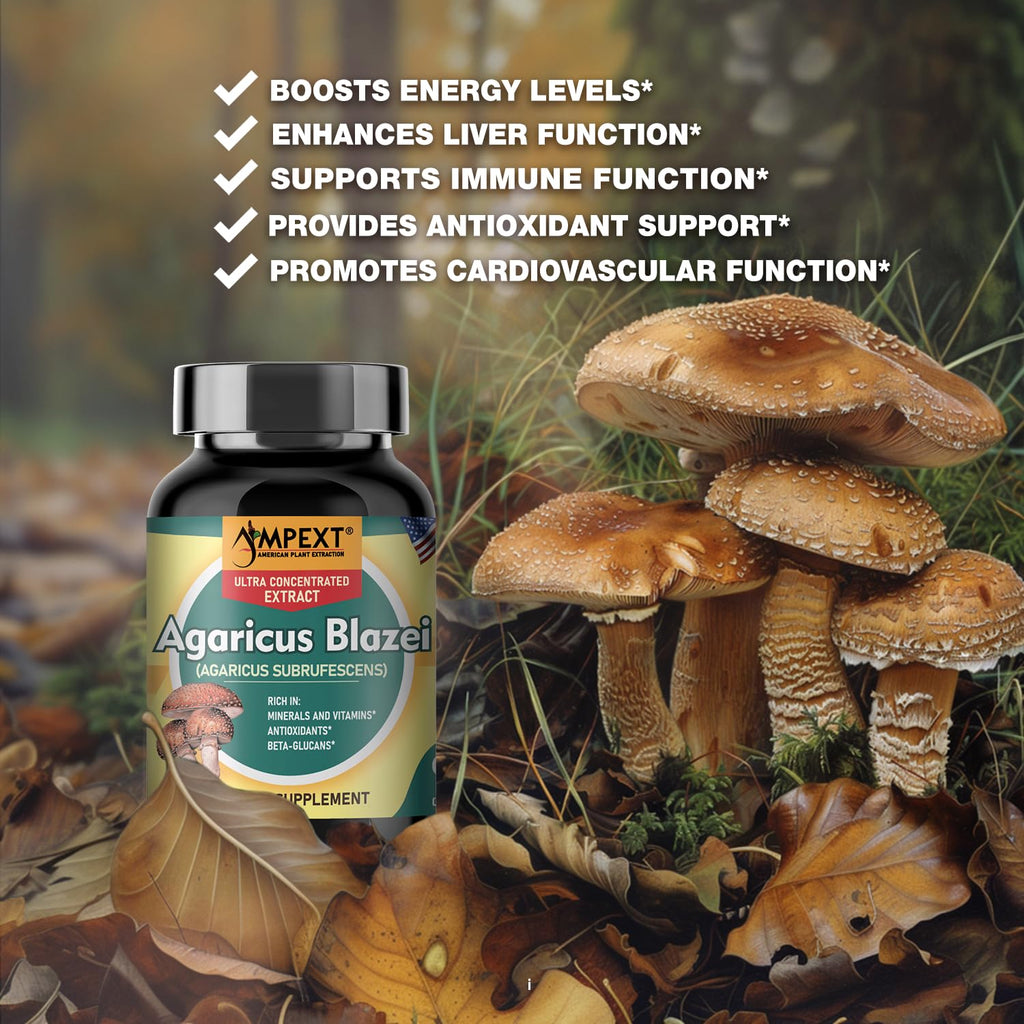mushroom extract for daily wellness