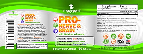 mushroom extract for digestion