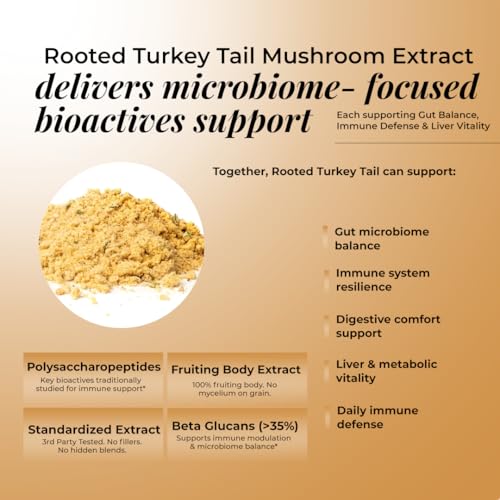 mushroom extract for digestive health