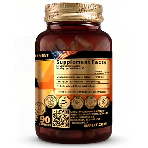 mushroom extract for digestive health