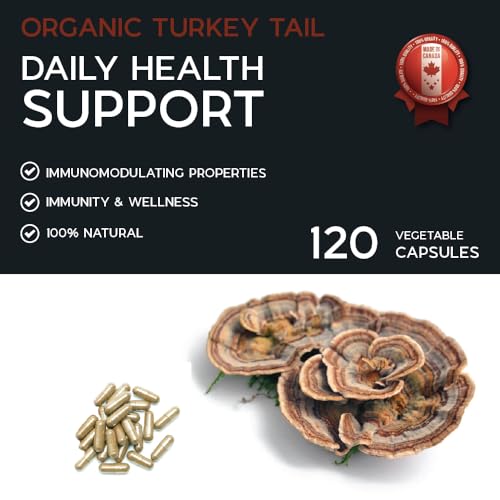mushroom extract for digestive wellness