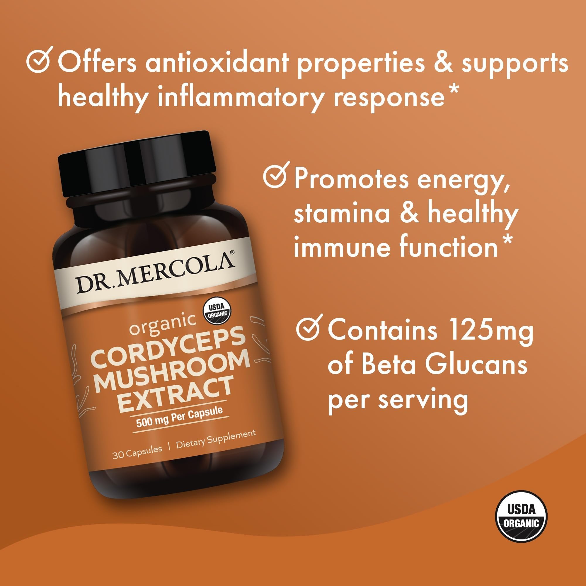 mushroom extract for energy boost