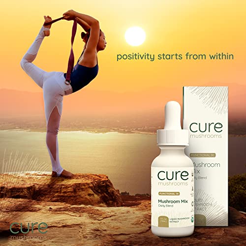 mushroom extract for energy boost